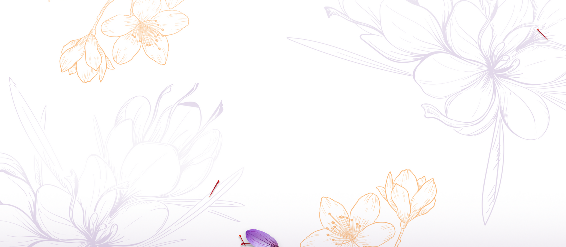 Divine Saffron Store